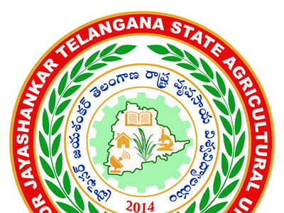 September 19, 2023 | FacultyPlus