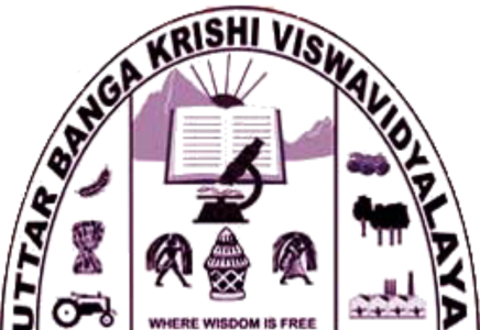 December 27, 2022 | FacultyPlus